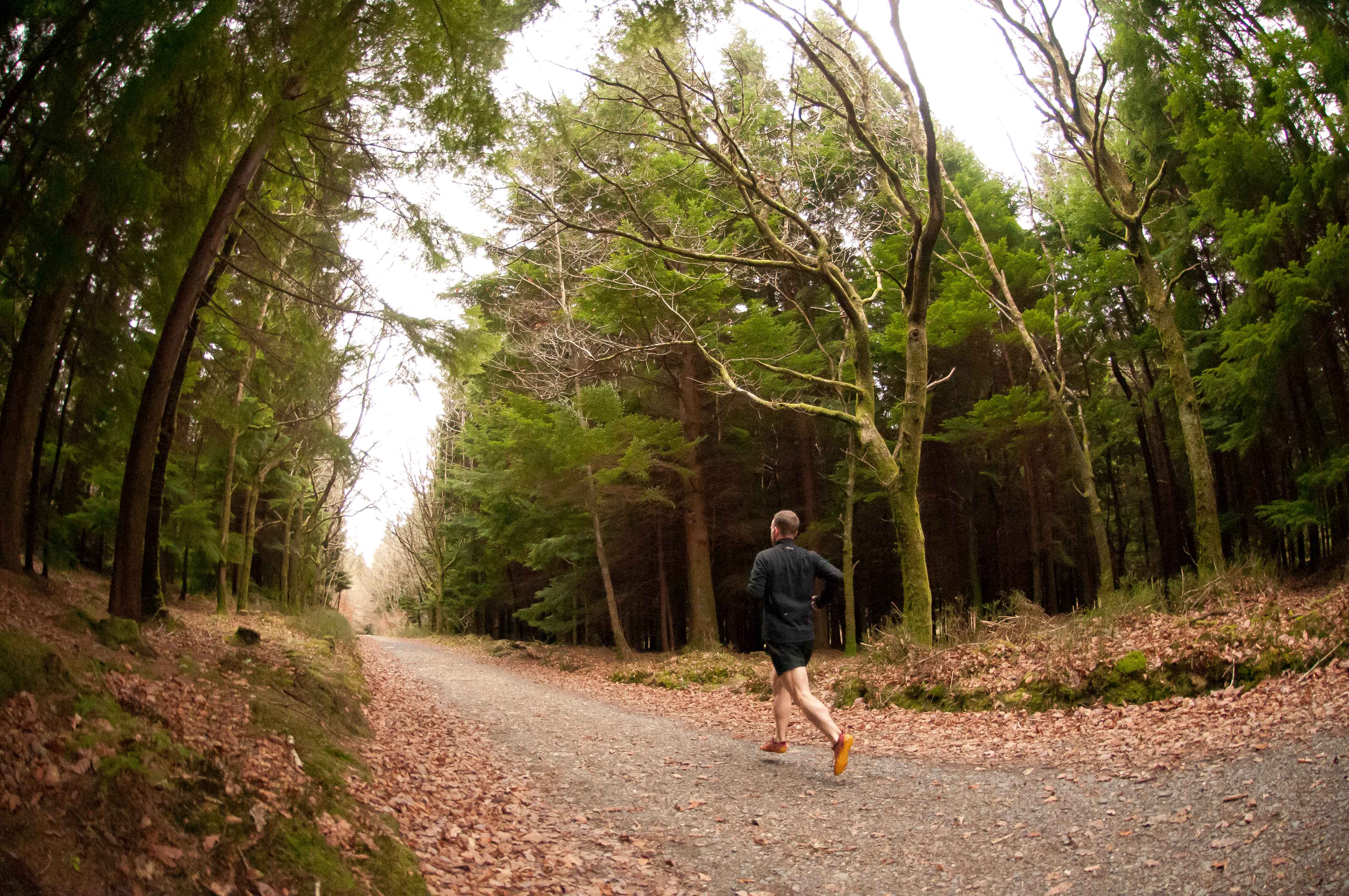From 5k to Marathon, from Short Trails to Ultras – René Borg ...